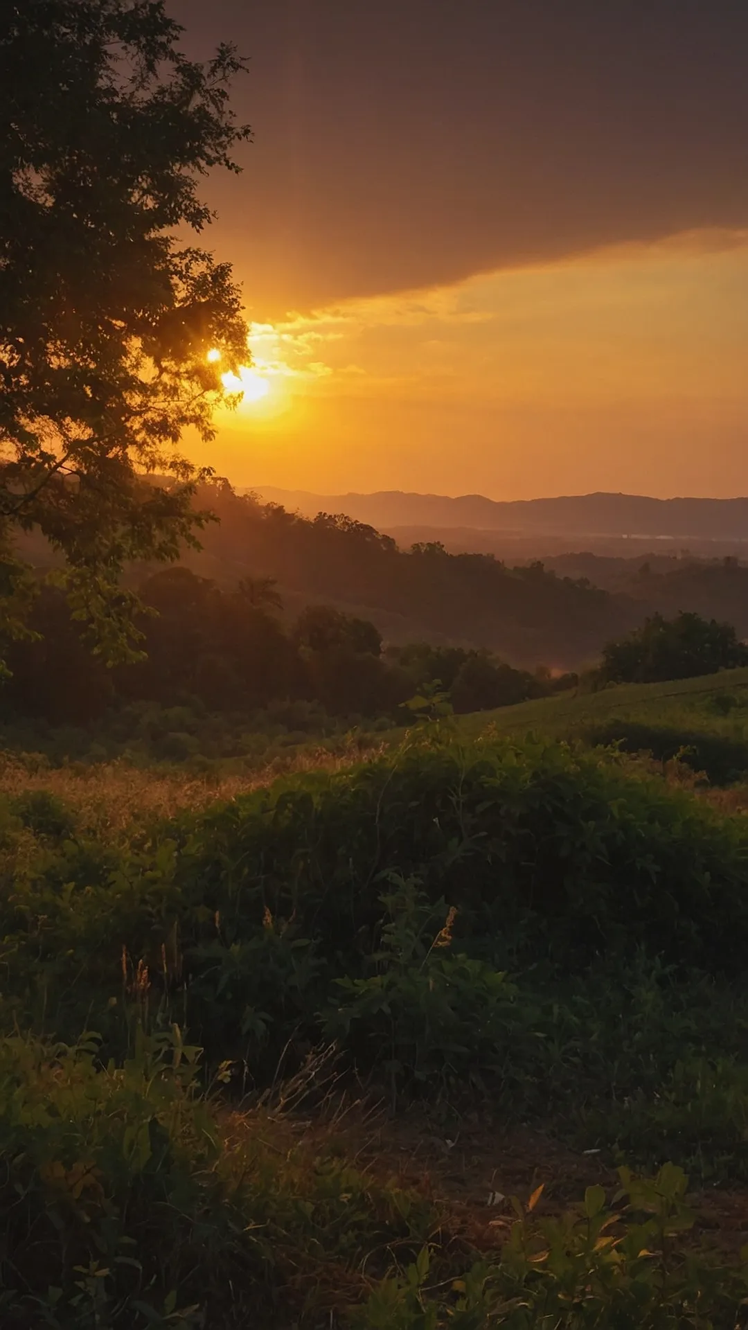 15 Breathtaking Sunset Wallpaper Ideas to Uplift Your Screens ...