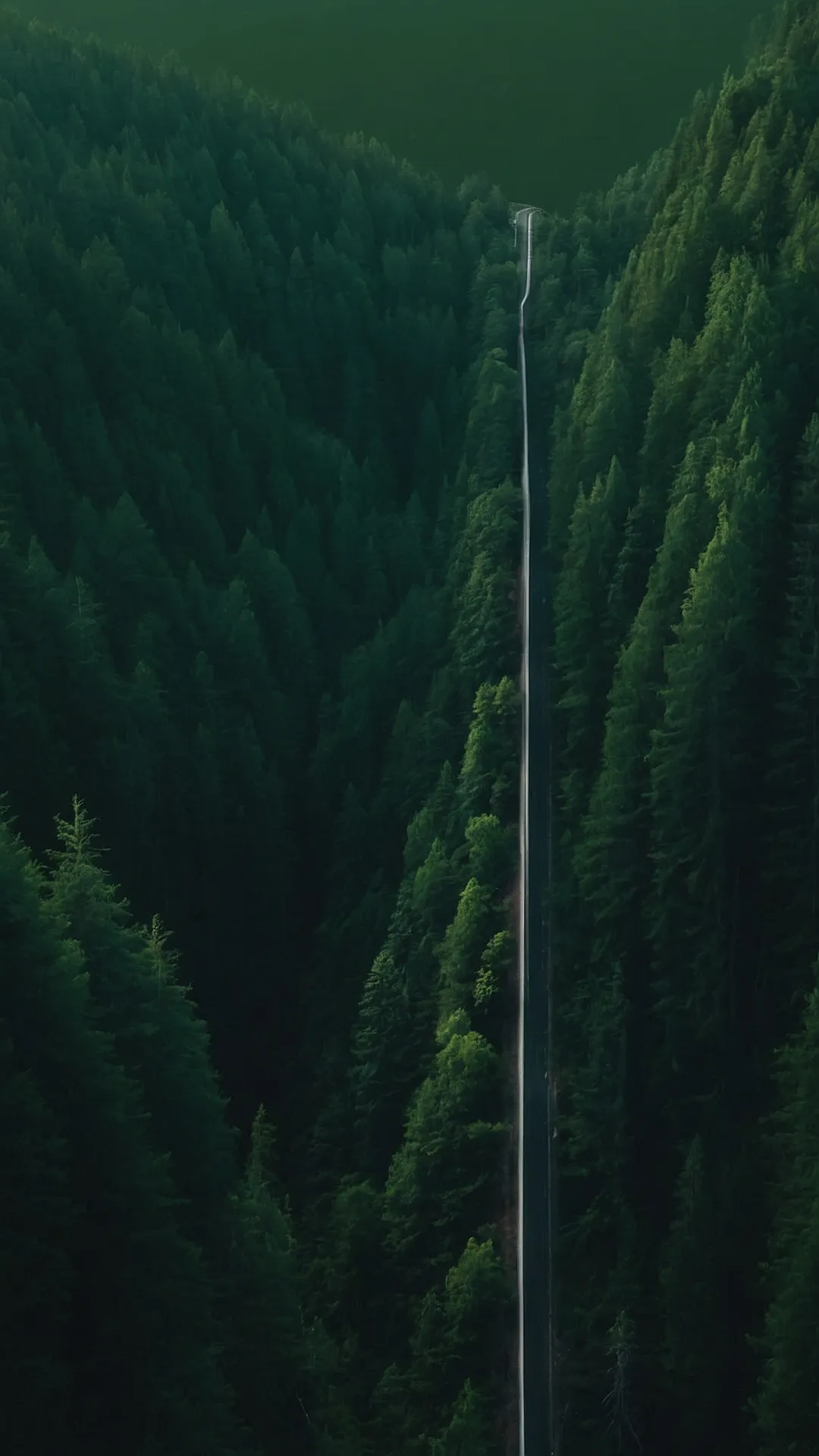 A Splash of Green: 15 Aesthetic Wallpaper Ideas for Your Screens ...