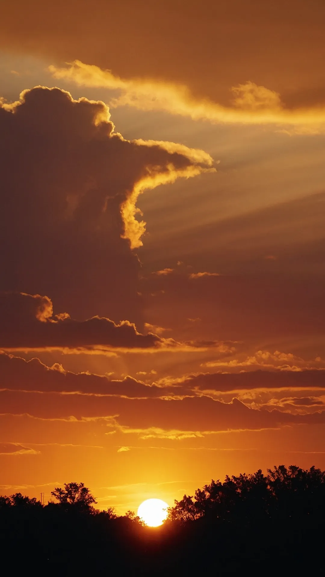 15 Aesthetic Sunset Wallpaper Ideas That Will Brighten Your Day ...