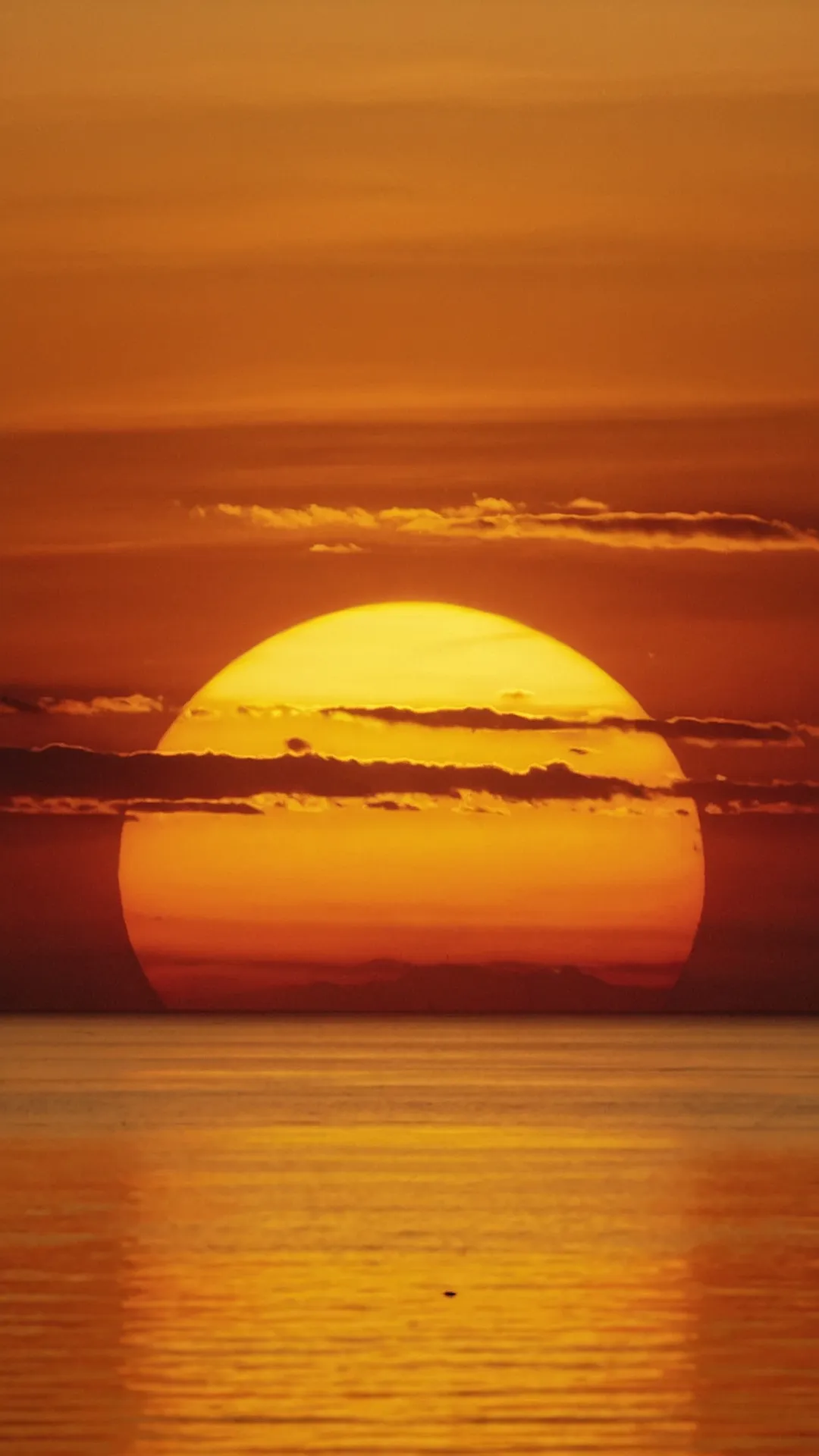 15 Stunning Sunset Wallpaper Ideas That Make Your Heart Sing - Cheerful ...