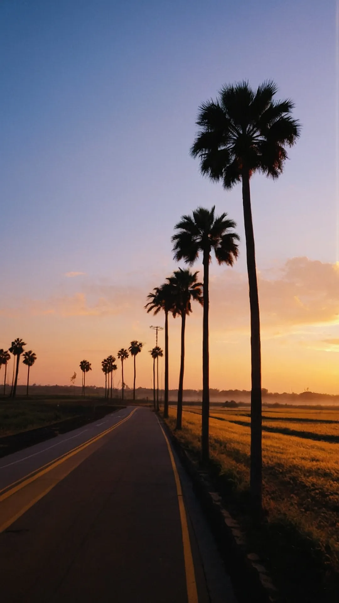 Elevate Your Aesthetic: 15 Stunning Sunset Wallpaper Ideas to Inspire ...