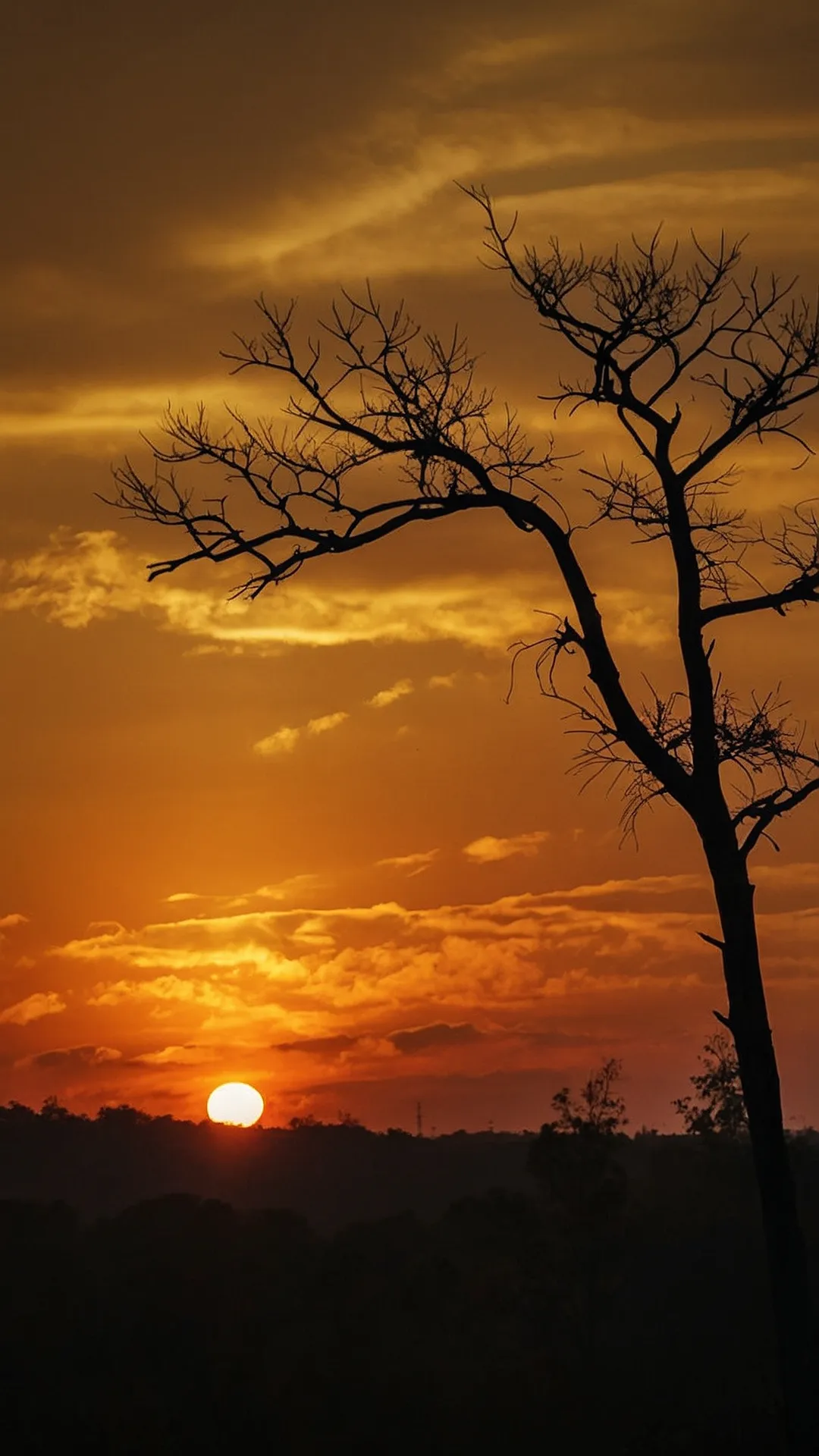 Elevate Your Aesthetic: 15 Stunning Sunset Wallpaper Ideas to Inspire ...