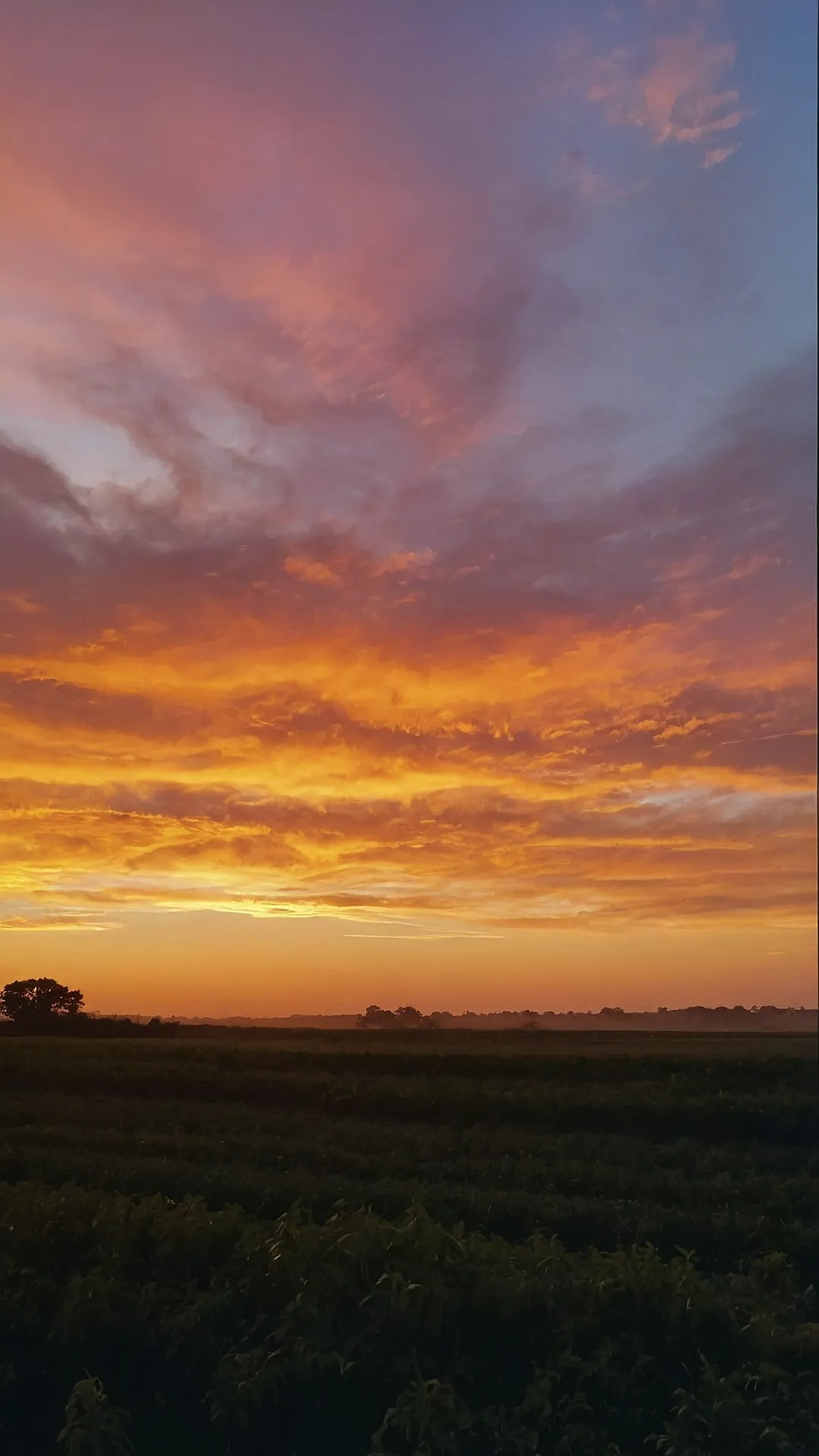 Sunset Vibes: 15 Wallpaper Inspirations to Revitalize Your Screens ...