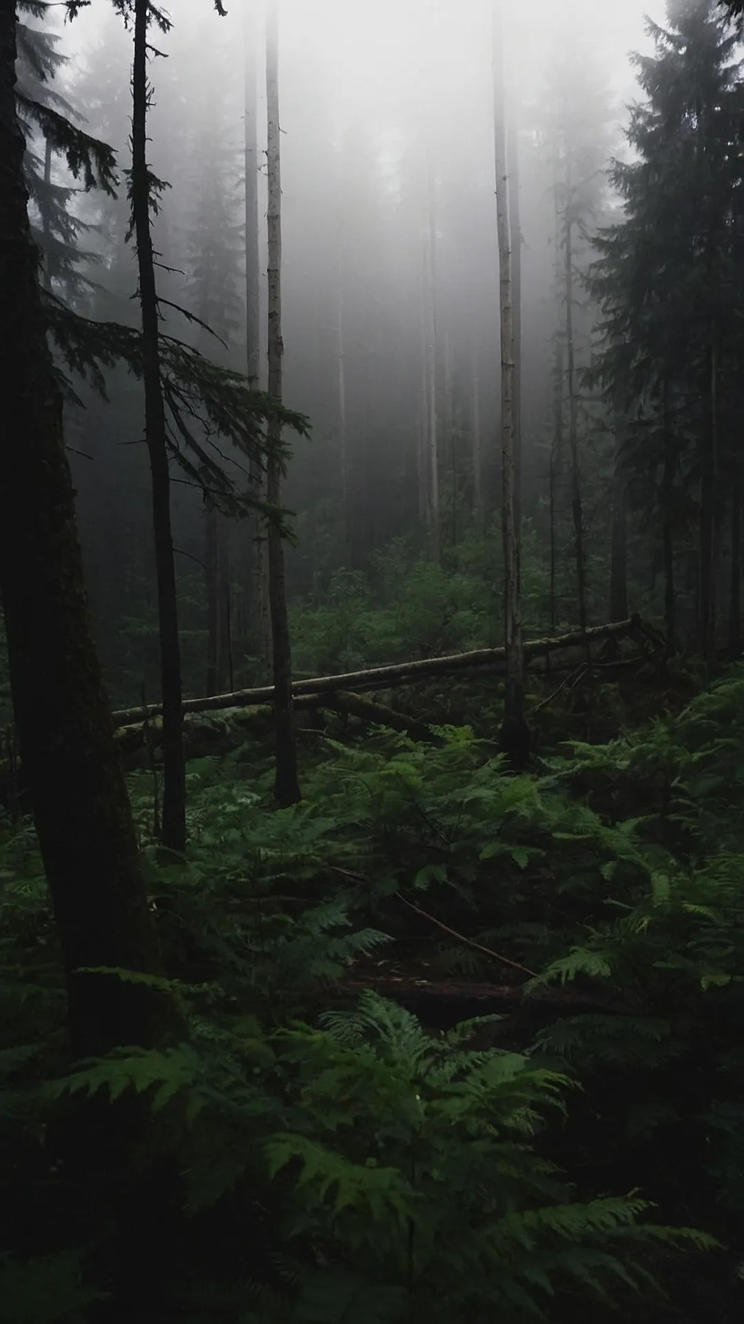 Your Guide to 15 Stunning Nature Woods Ideas for Home Revival**