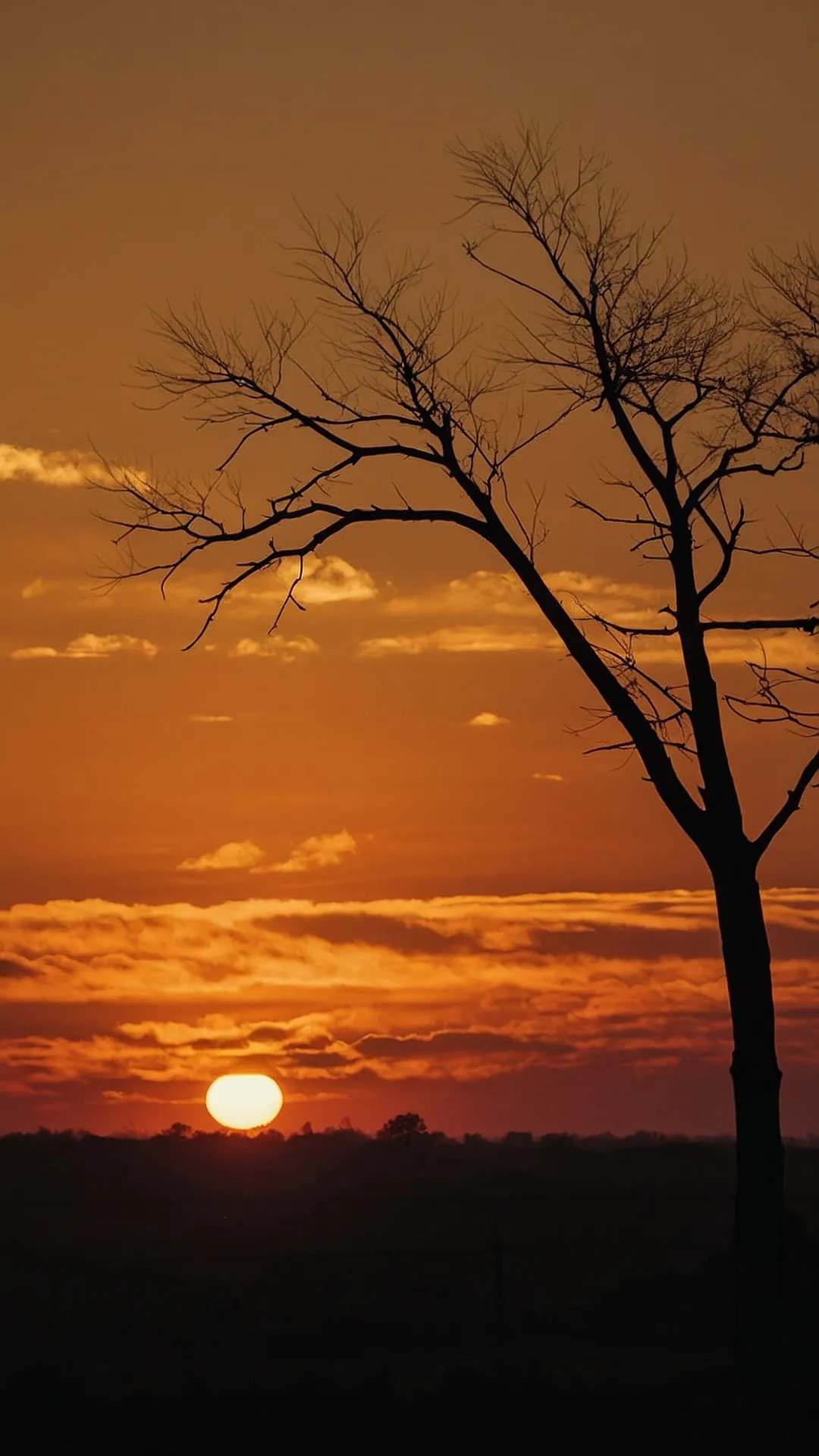 Dive into 15 Creative Sunset Wallpaper Ideas for Your Devices - Cheer Lives