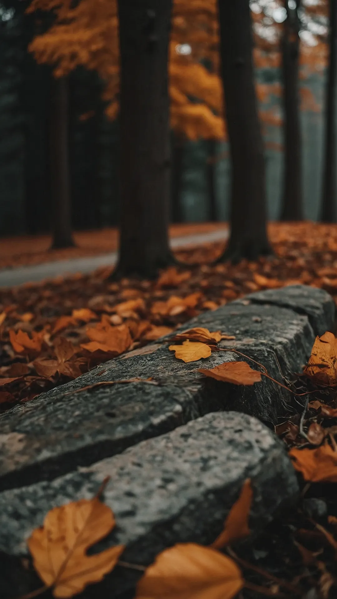 15 Cozy Fall Aesthetic Wallpaper Ideas to Transform Your Screens – Fads