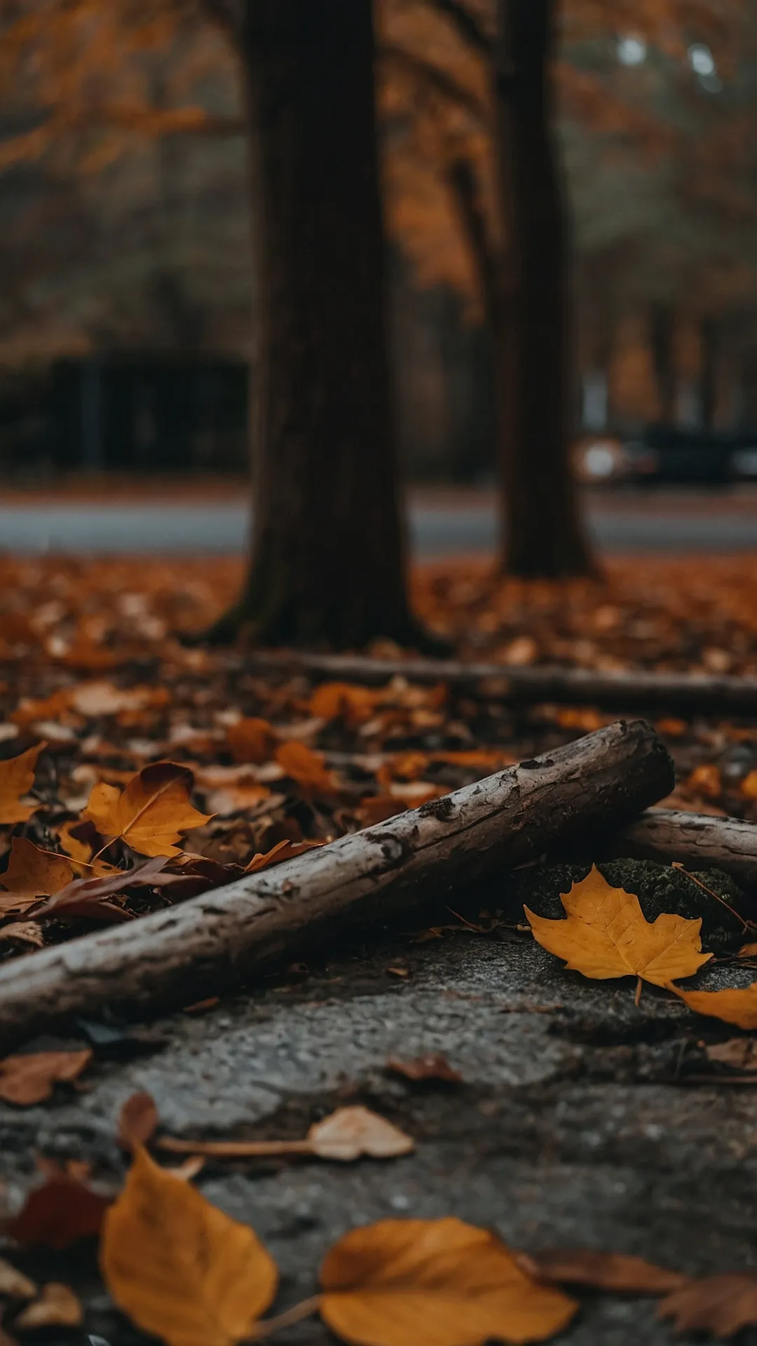 15 Cozy Fall Aesthetic Wallpaper Ideas to Transform Your Screens – Fads