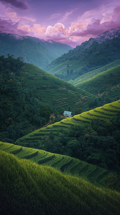 Epic Road Trip Destination Ideas: Lush Green Mountain Road for iPhone ...